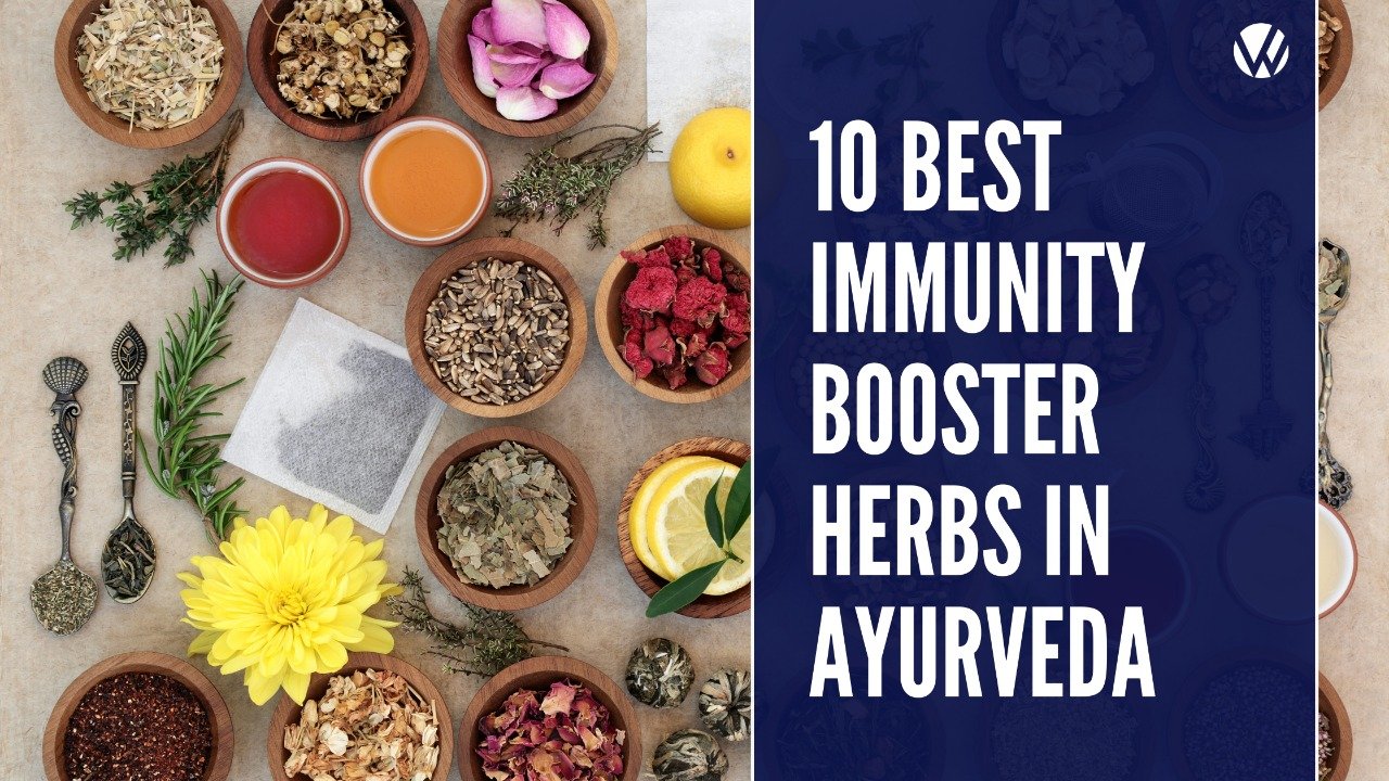 10 best immunity booster herbs in Ayurveda - Vogue India – voguewellness.in